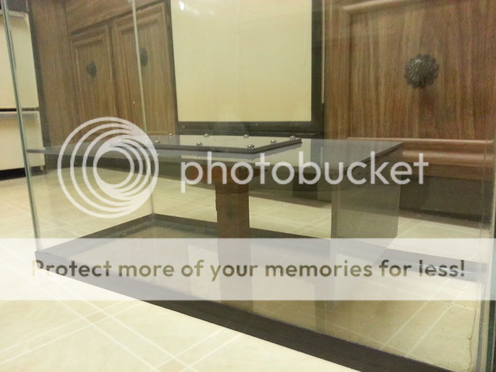 Underwater Air Pocket? | MonsterFishKeepers.com